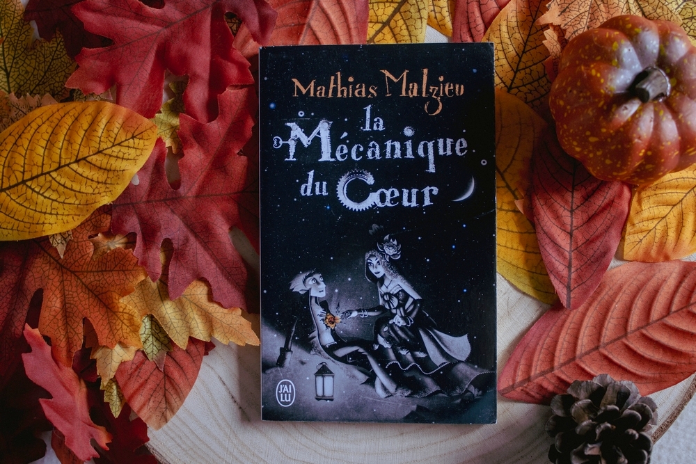 La Mécanique du cœur – Mathias Malzieu – Rowena bookine